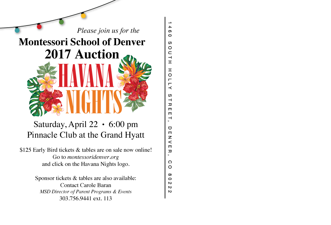 Havana Nights – Anne Bellavia Design